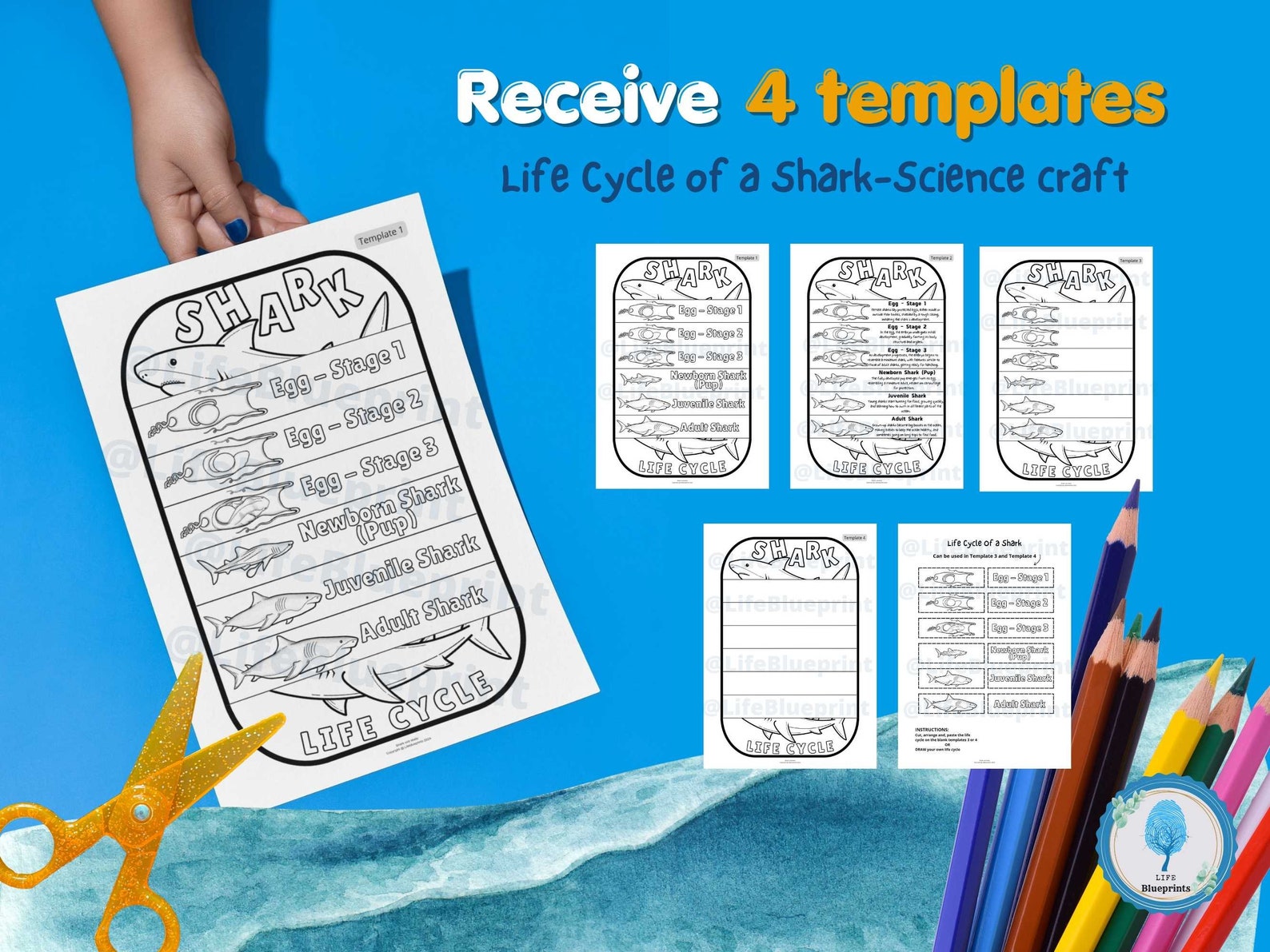 Life Cycle of a Shark Science Activity for Kids | Foldable Craft ...
