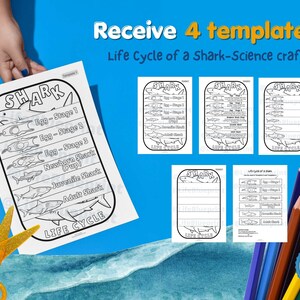 Life Cycle of a Shark Science Activity for Kids | Foldable Craft ...