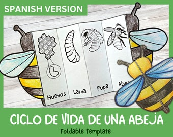 Foldable Bee Life Cycle Learning Activity for Kids A4 and 11x8.5 Inch ...
