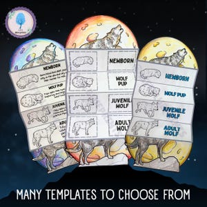 Grey Wolf Life Cycle Science Activity | Foldable Craft | Wolf Unit ...