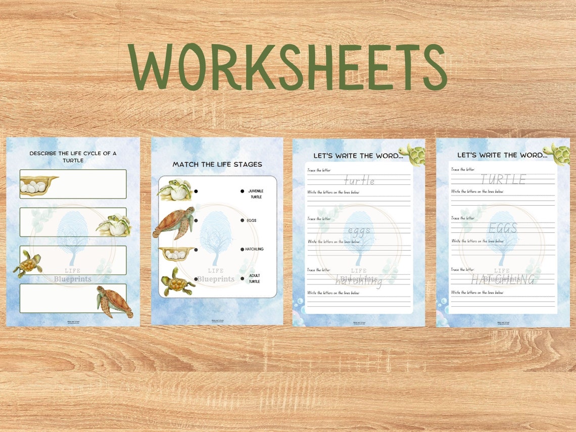 Turtle Life Cycle Unit Study Poster, Flashcards, Lesson Plan Nature ...