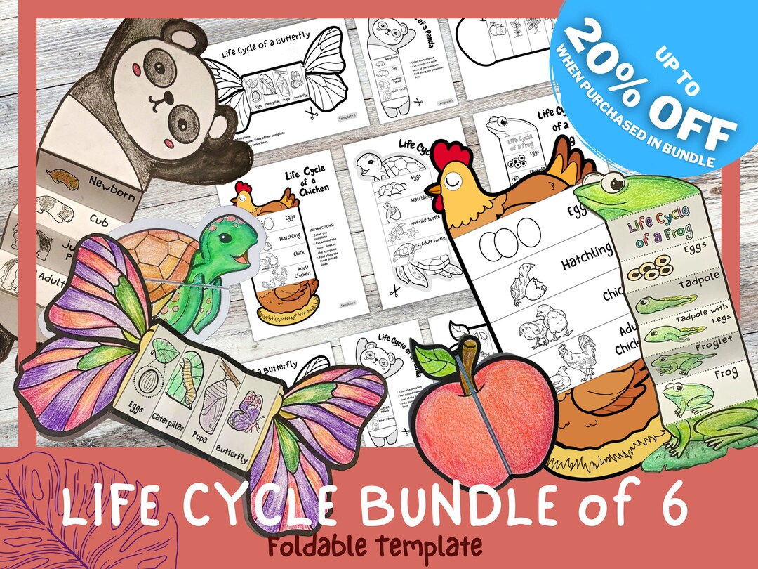 Life Cycle Bundle of 6 | Bird, Amphibian, Mammal, Insect, Plant, Marine ...