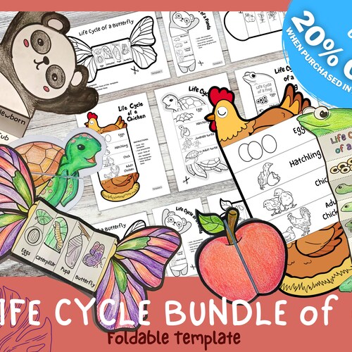 Life Cycle Bundle of 6 Bird Amphibian Mammal Insect - Etsy