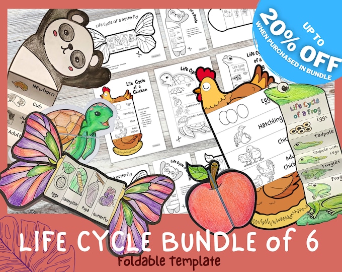 Cactus Life Cycle Learning Activity for Kids | A4 and 11x8.5 Inch ...