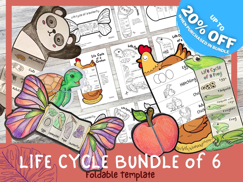 Life Cycle Bundle of 6 Bird Amphibian Mammal Insect - Etsy