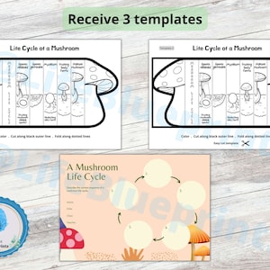 Foldable Mushroom Life Cycle Learning Activity for Kids | A4 and 11x8.5 ...
