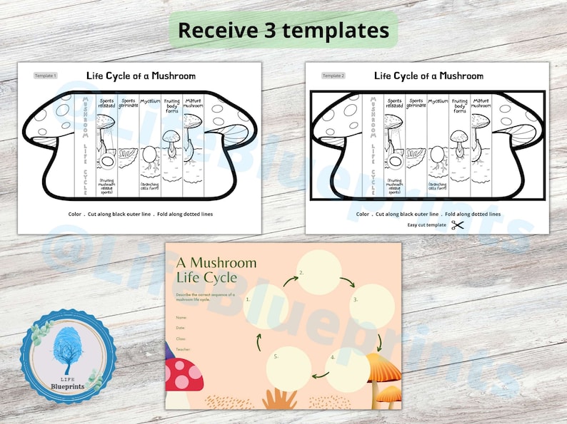 Foldable Mushroom Life Cycle Learning Activity for Kids | A4 and 11x8.5 ...
