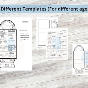 Marine Food Chains Foldable Kids' Craft | Snow Globe | Food Web ...