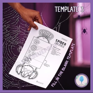 Life Cycle of a Spider Science Activity for Kids | Foldable Craft ...