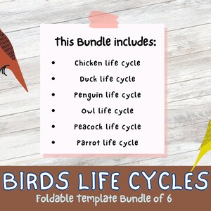 Bird Life Cycle Bundle of 6 Templates | Duck, Chicken, Penguin, Parrot ...