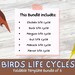 Bird Life Cycle Bundle of 6 Templates Duck, Chicken, Penguin, Parrot ...