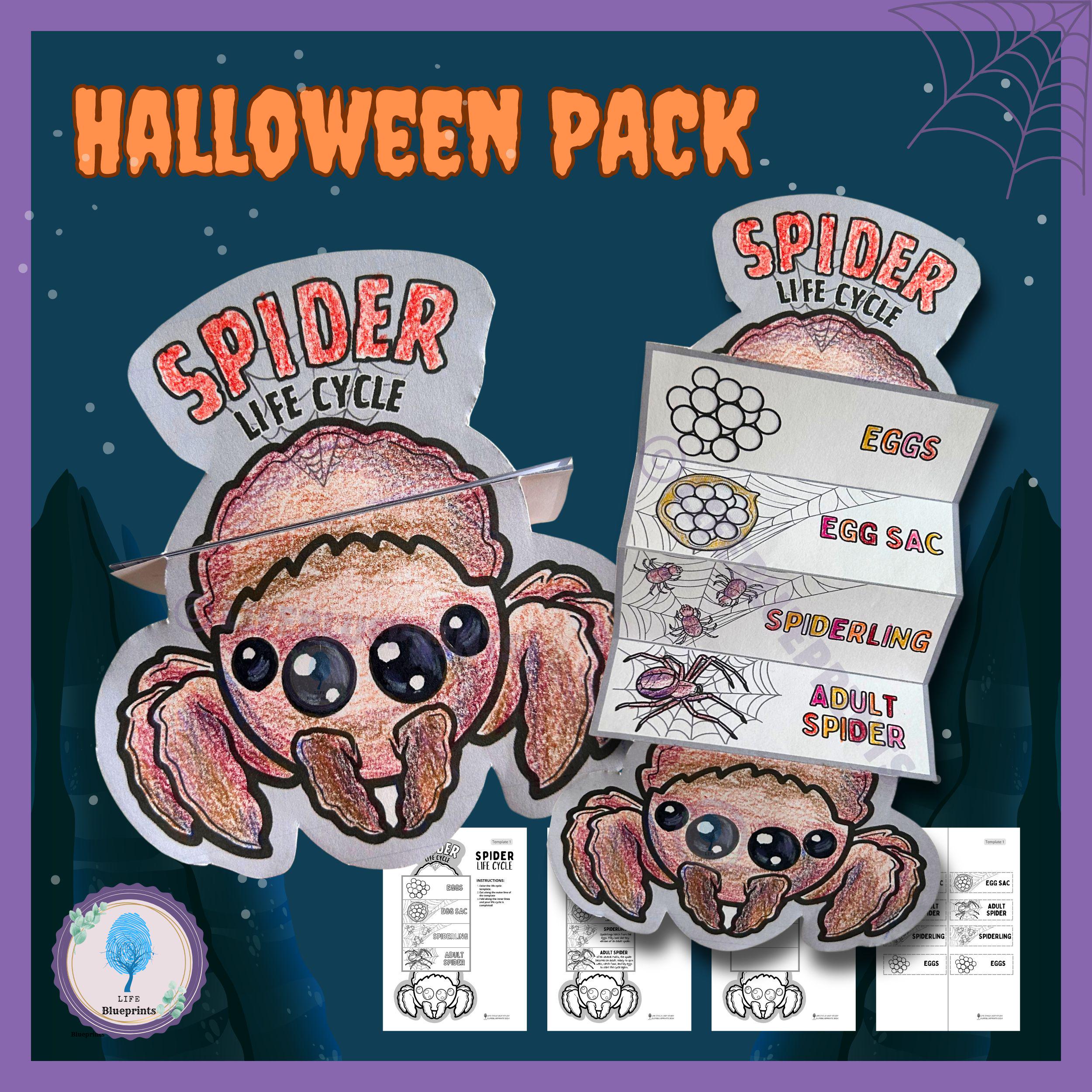 Halloween Life Cycle Pack | Grey Wolf, Bat, Pumpkin, Owl, Spider ...