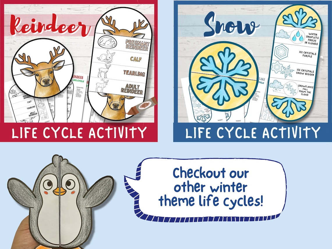 Foldable Penguin Life Cycle Learning Activity for Kids A4 and 11x8.5 ...