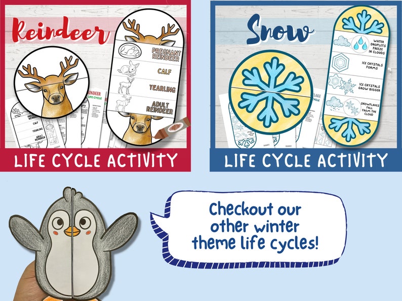 Foldable Penguin Life Cycle Learning Activity for Kids | A4 and 11x8.5 ...