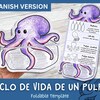 SPANISH Clownfish Life Cycle Learning Activity for Kids | Digital ...