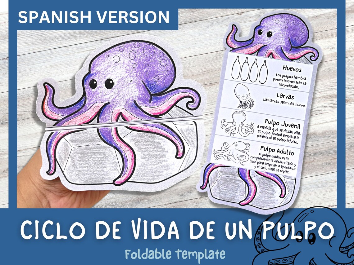 SPANISH Octopus Life Cycle Learning Activity for Kids - Etsy