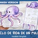 SPANISH Octopus Life Cycle Learning Activity for Kids | Montessori ...