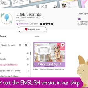 SPANISH Rabbit Life Cycle Foldable Learning Activity for Kids | A4 and ...