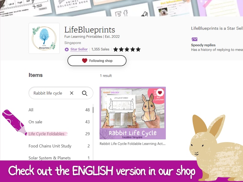 SPANISH Rabbit Life Cycle Foldable Learning Activity for Kids | A4 and ...