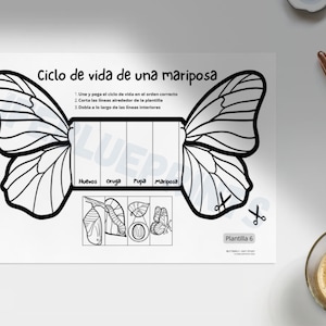 SPANISH Life Cycle of a Monarch Butterfly | Foldable Life Cycle Craft ...