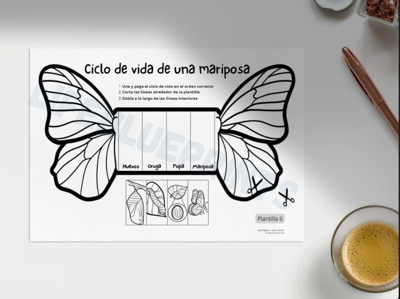 SPANISH Life Cycle of a Monarch Butterfly | Foldable Life Cycle Craft ...