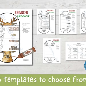 REINDEER Life Cycle Foldable Template | Christmas Activities, Christmas ...
