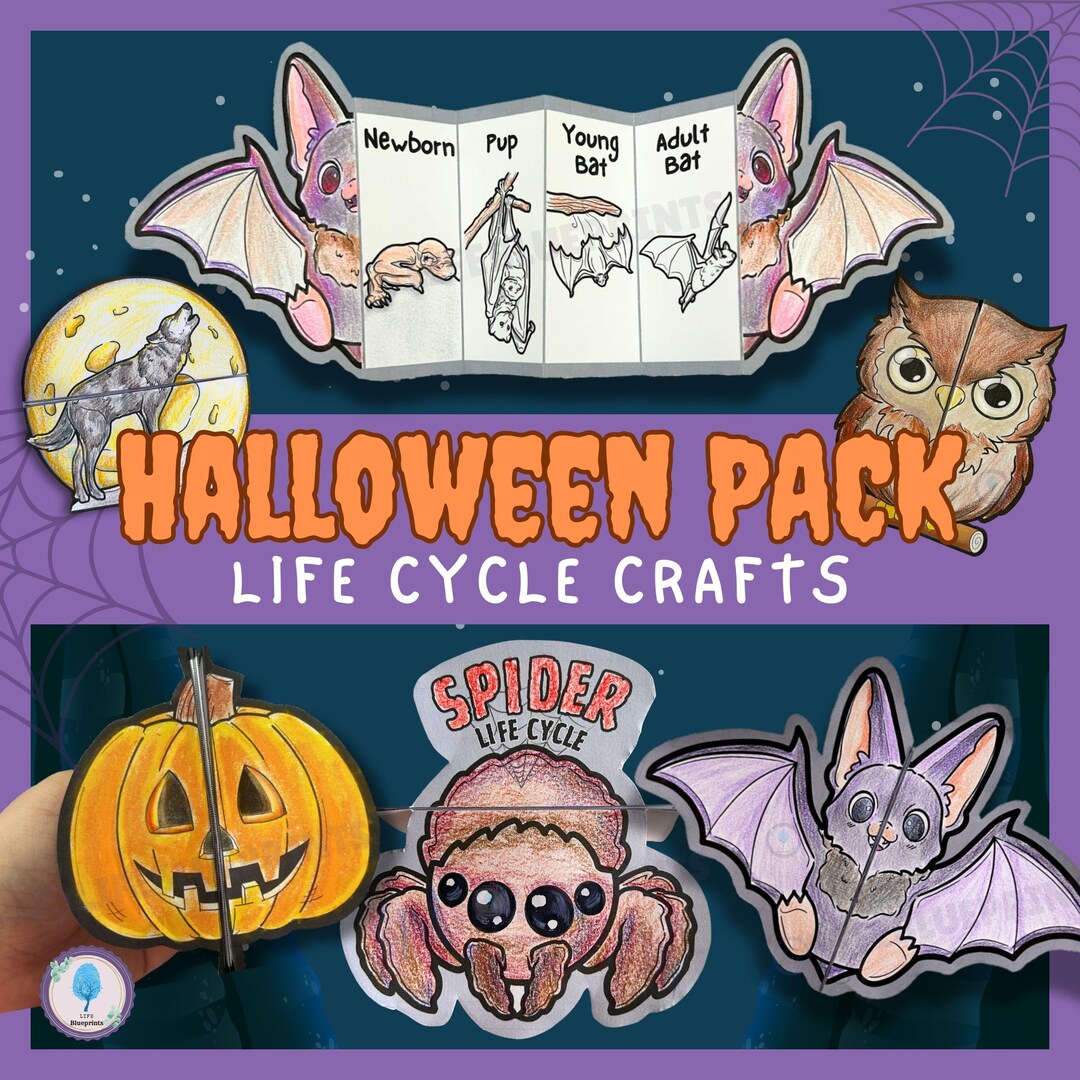Halloween Life Cycle Pack | Grey Wolf, Bat, Pumpkin, Owl, Spider ...