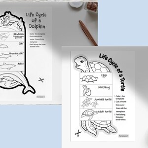 Marine Life Cycle Bundle of 6 Templates | Ocean | Discounts With Bundle ...