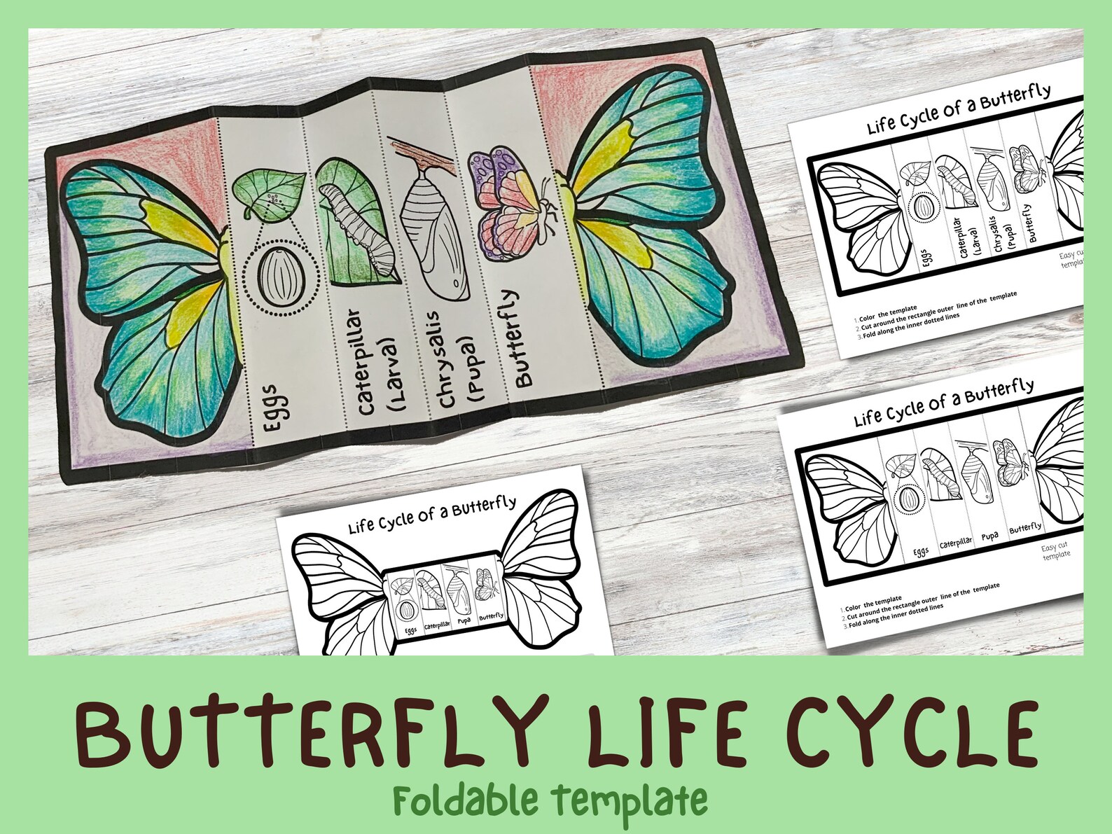 Foldable Butterfly Life Cycle Learning Activity for Kids A4 - Etsy