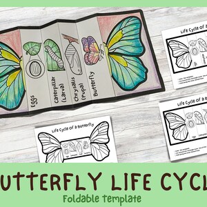 Foldable Butterfly Life Cycle Learning Activity for Kids A4 and 11x8.5 ...