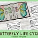 Foldable Butterfly Life Cycle Learning Activity for Kids A4 - Etsy