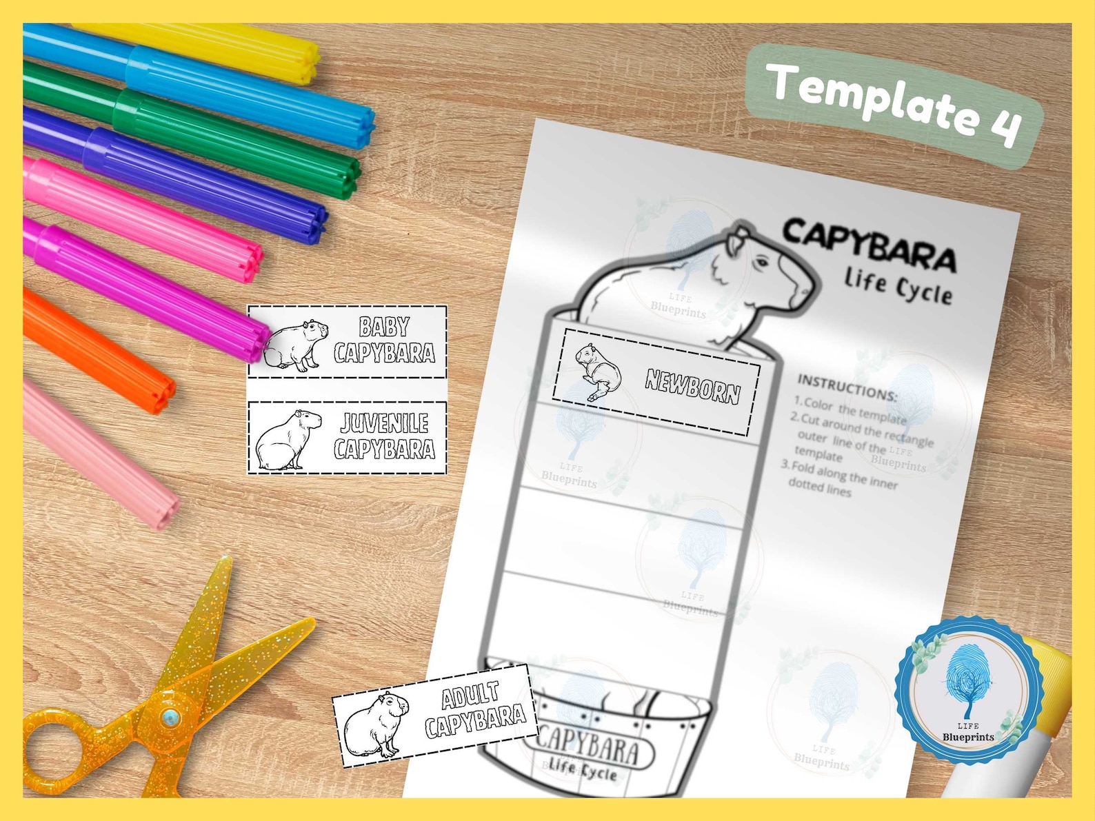 Capybara Life Cycle Learning Activity for Kids | A4 and 11x8.5 Inch ...