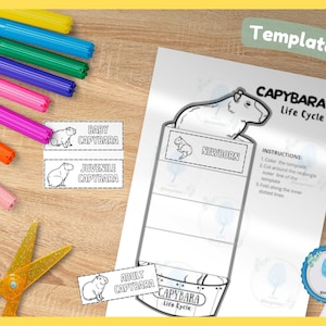 Capybara Life Cycle Learning Activity for Kids | A4 and 11x8.5 Inch ...