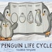 Foldable Penguin Life Cycle Learning Activity for Kids A4 and 11x8.5 ...