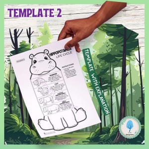 Hippopotamus Life Cycle Science Activity for Kids | Foldable Craft ...