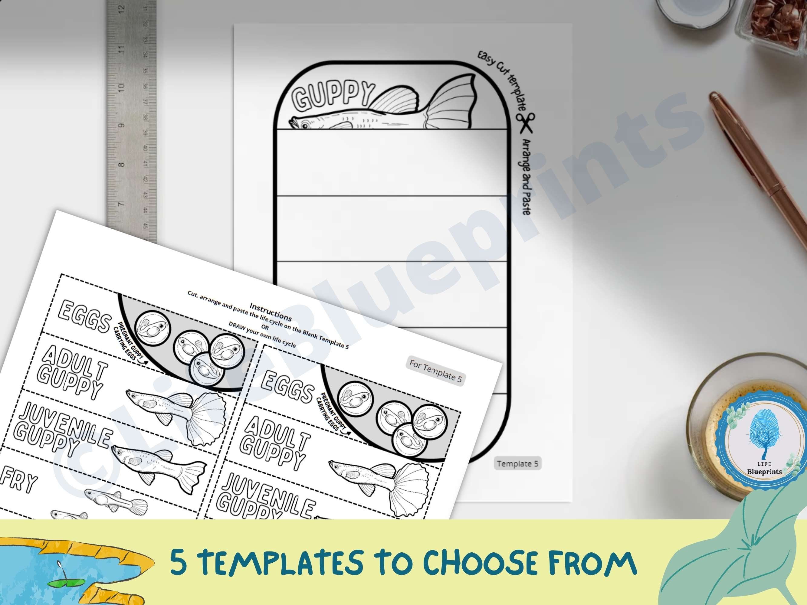 Foldable Guppy Fish Life Cycle Learning Activity for Kids A4 and 11x8.5 ...