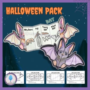Halloween Life Cycle Pack | Grey Wolf, Bat, Pumpkin, Owl, Spider ...