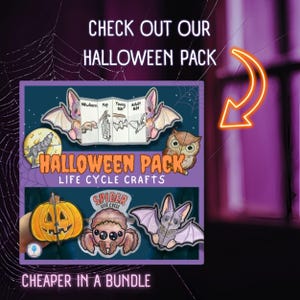 Grey Wolf Life Cycle Science Activity | Foldable Craft | Wolf Unit ...