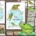 Frog Life Cycle Poster, Flashcards, Lesson Slides Nature Study, Science ...