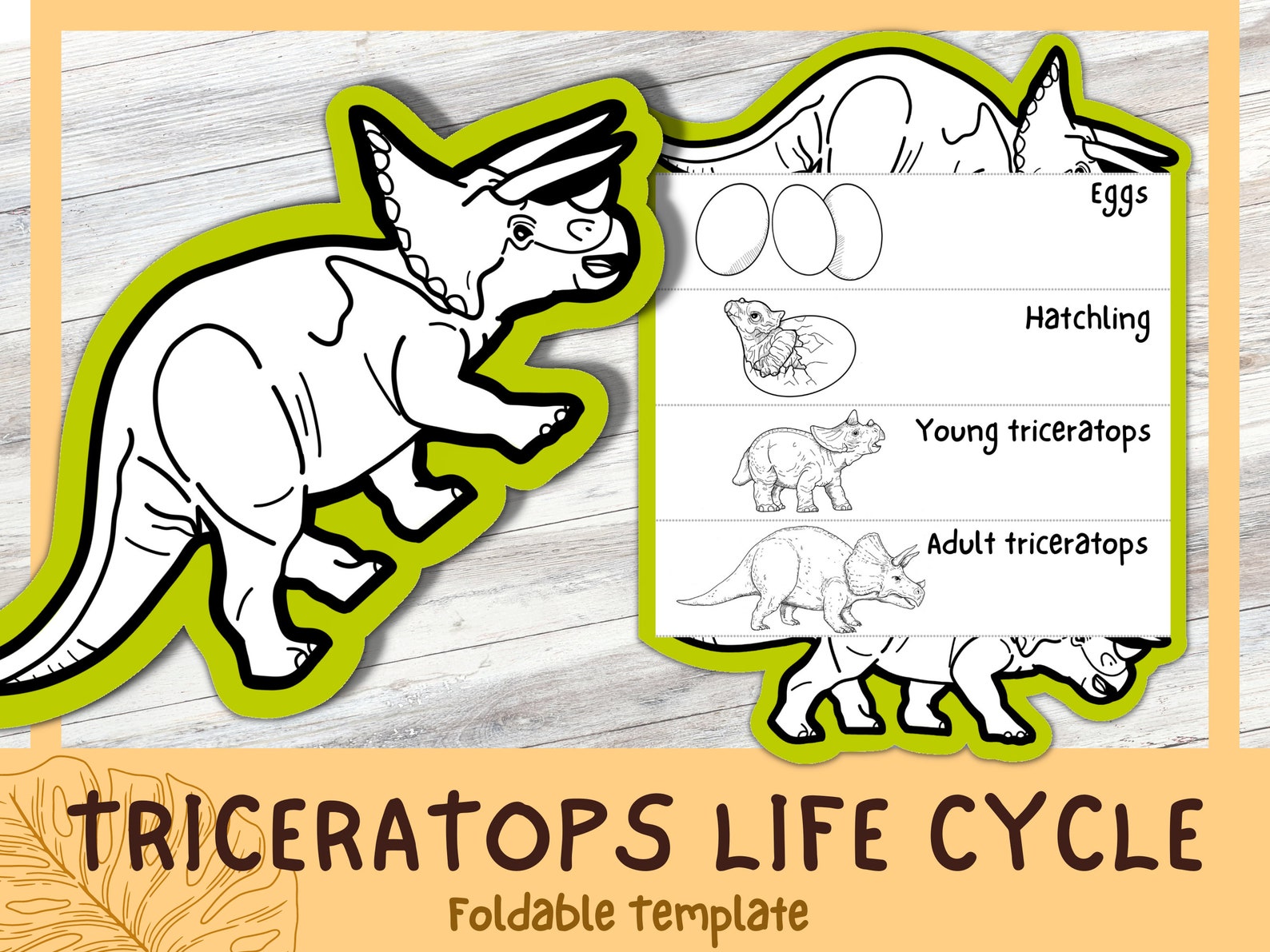 Triceratops Dinosaur Life Cycle Learning Activity for Kids - Etsy