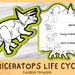 Triceratops Dinosaur Life Cycle Learning Activity for Kids - Etsy