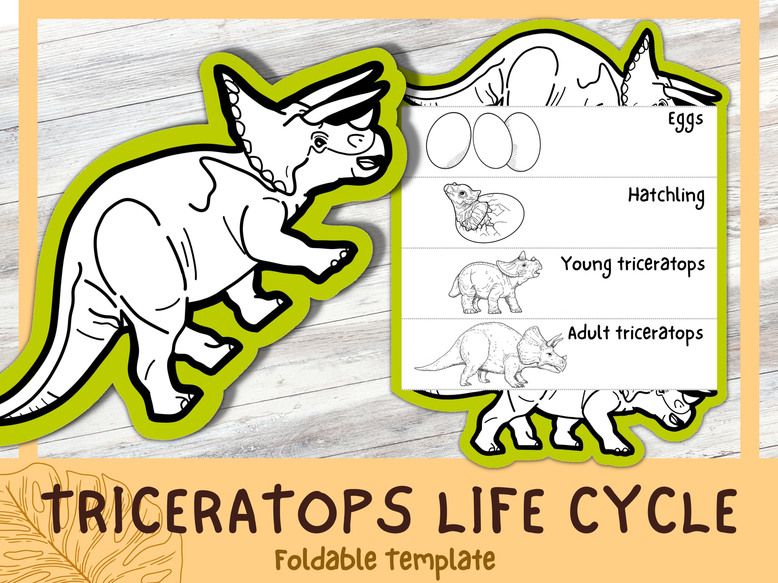 Triceratops Dinosaur Life Cycle Learning Activity for Kids - Etsy