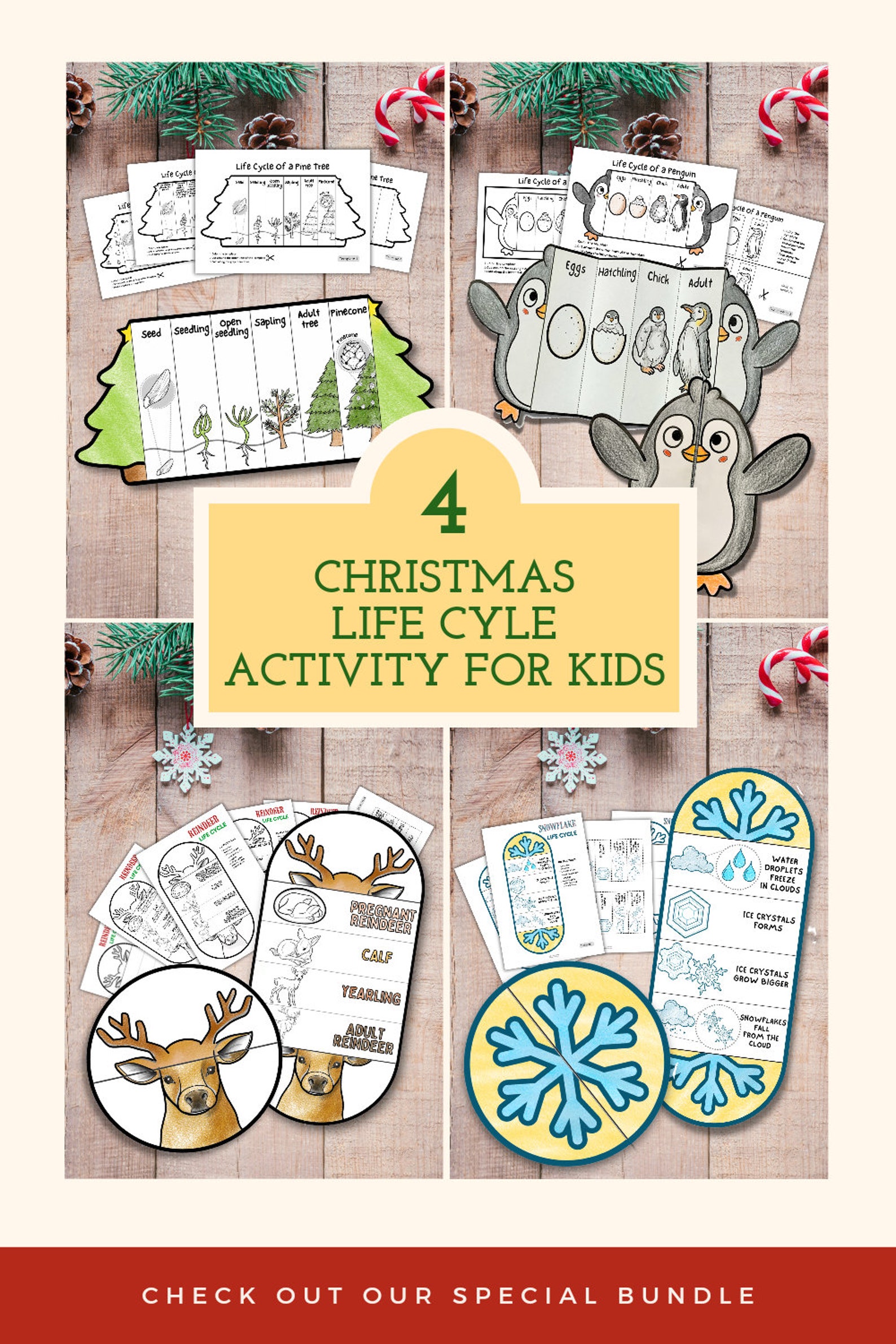 Foldable Penguin Life Cycle Learning Activity for Kids | A4 and 11x8.5 ...