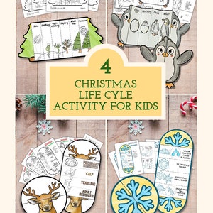 Foldable Penguin Life Cycle Learning Activity for Kids | A4 and 11x8.5 ...