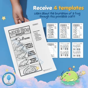 Frog Brumation | Hibernation Foldable Activity | Reptiles Hibernation ...