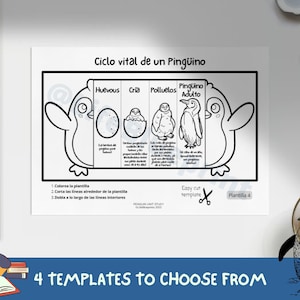SPANISH Life Cycle of Penguin| Foldable Life Cycle Craft | Digital ...