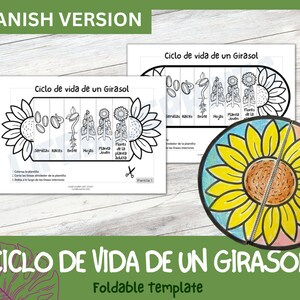 SPANISH Life Cycle of Plants & Fungi Bundle of 6 | Mushroom, Fruits ...