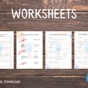 Axolotl Life Cycle Unit Study | Includes Posters, Flashcards ...