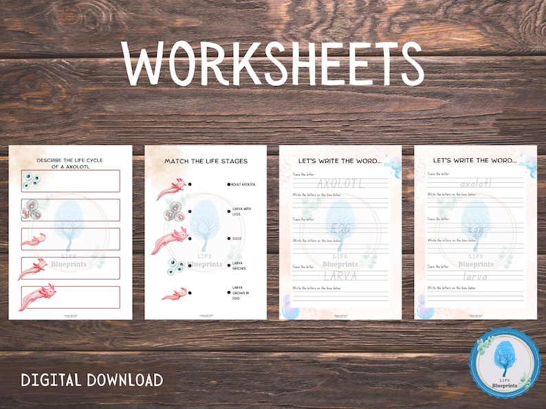 Axolotl Life Cycle Unit Study | Includes Posters, Flashcards ...