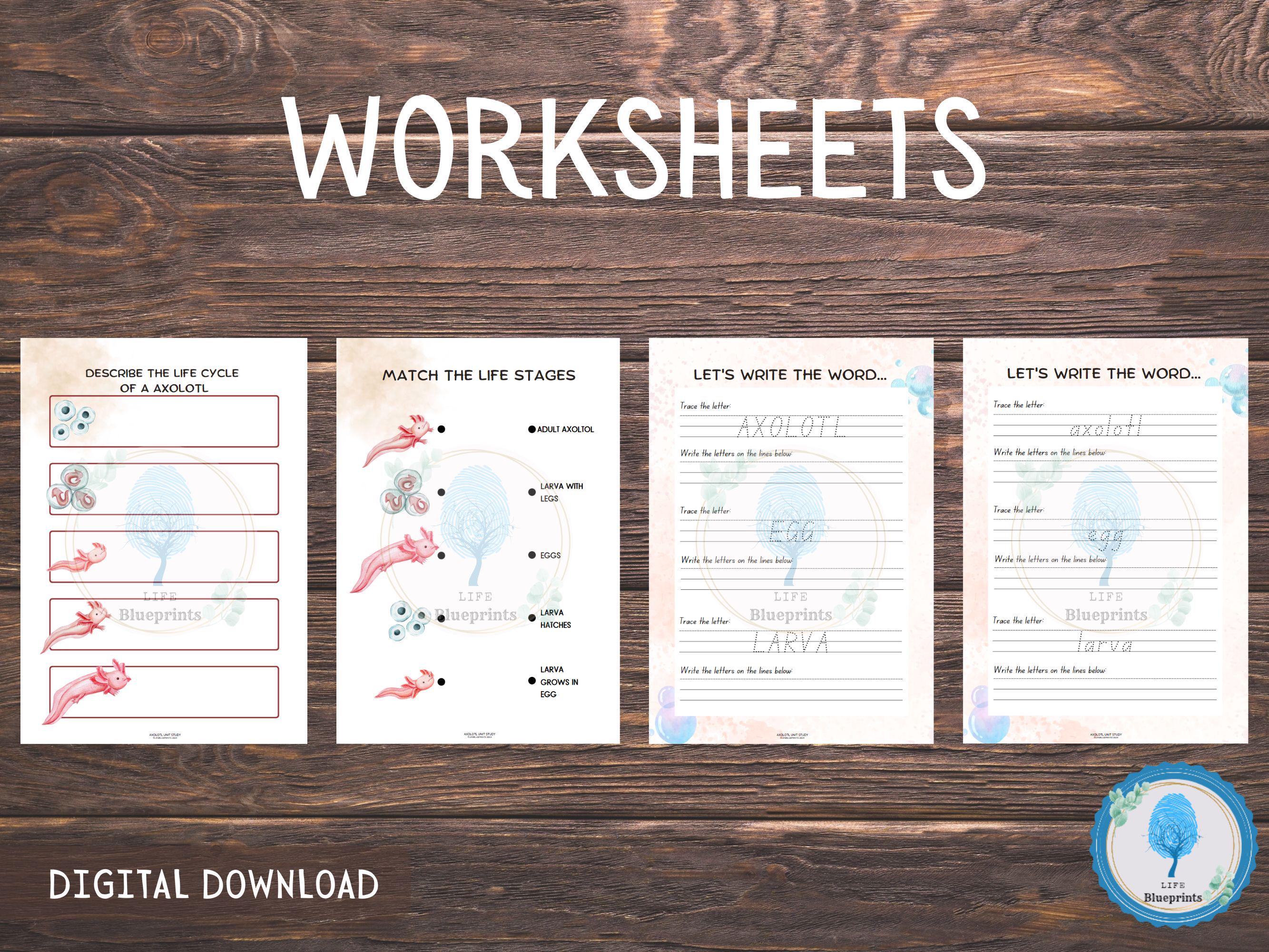 Axolotl Life Cycle Unit Study | Includes Posters, Flashcards ...